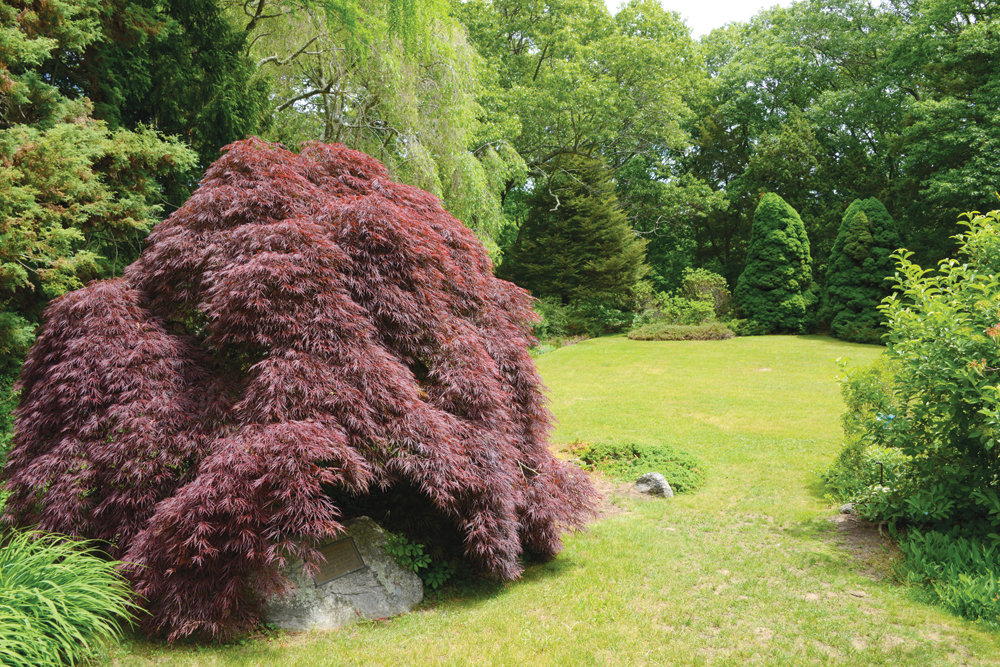 Connecticut College Arboretum in New London
