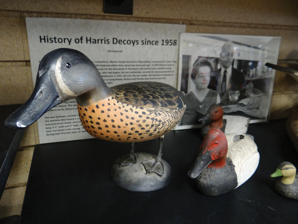 The Special People from Harris Outdoors - Old Saybrook