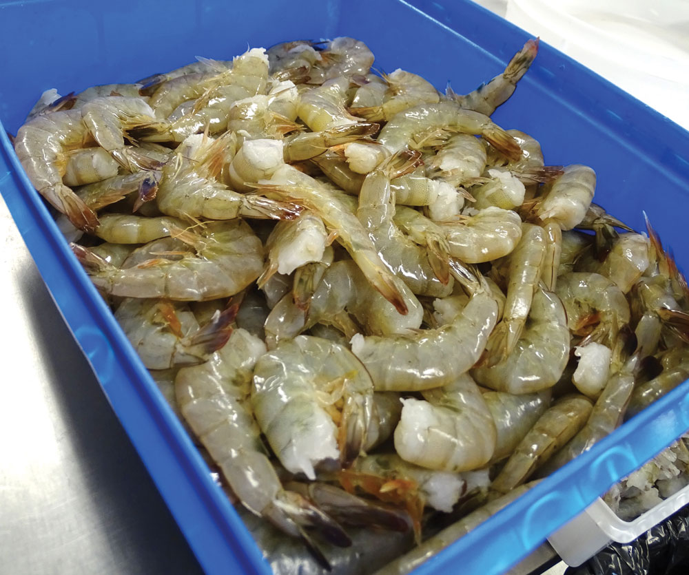 The Overwhelming Success that is Atlantic Seafood Market. - Ink ...
